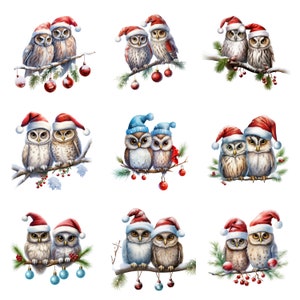 26 Santa Owls Clipart, Christmas Clipart, PNG Individual Images on ...