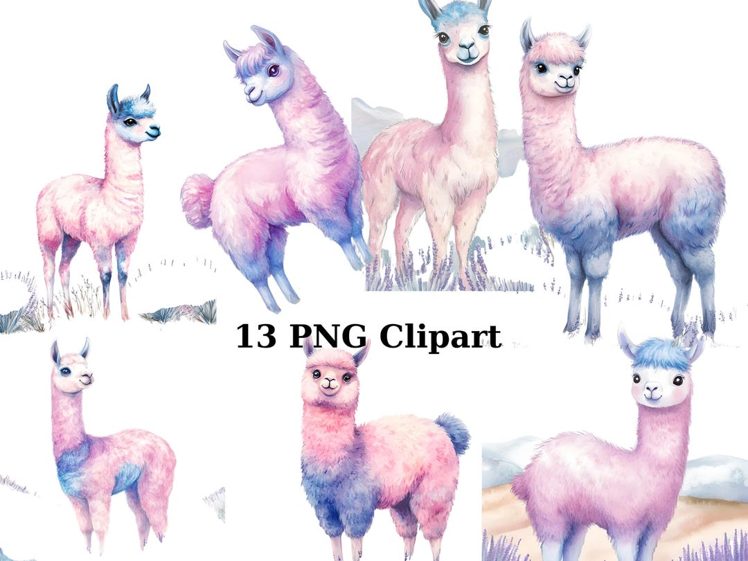 13 Pastel Llamas Watercolor Clipart, Animals Clipart, PNG Individual ...