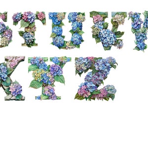 Hydrangea Alphabet Watercolor Clipart, Floral Clipart, PNG Digital ...