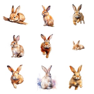 Watercolor Rabbits Clipart, Bunnies PNG, Digital Files on Transparent ...