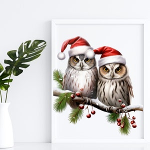 26 Santa Owls Clipart, Christmas Clipart, PNG Individual Images on ...