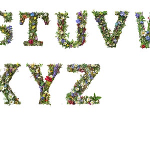 Watercolor Wildflowers Alphabet Clipart, PNG Individual Images on ...