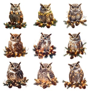 32 Festive Owls Watercolor Clipart, Christmas Clipart, PNG Individual ...