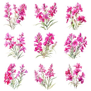 Watercolor Fireweed Floral in PNG for Commercial Use Instant Download ...