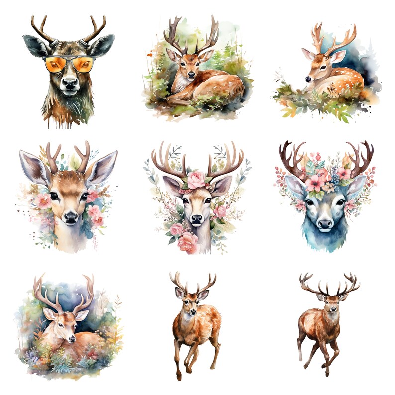 Watercolor Deer Clipart PNG Digital Files on Transparent - Etsy