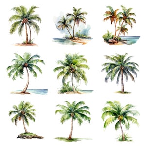 Watercolor Coconut Trees Clipart, PNG Digital Files on Transparent ...