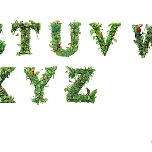 Tropical Jungle Alphabet Clipart - Parrot and Foliage Letters PNG ...