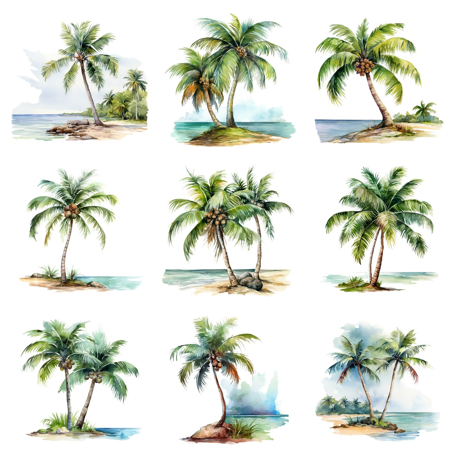 Watercolor Coconut Trees Clipart, PNG Digital Files on Transparent ...