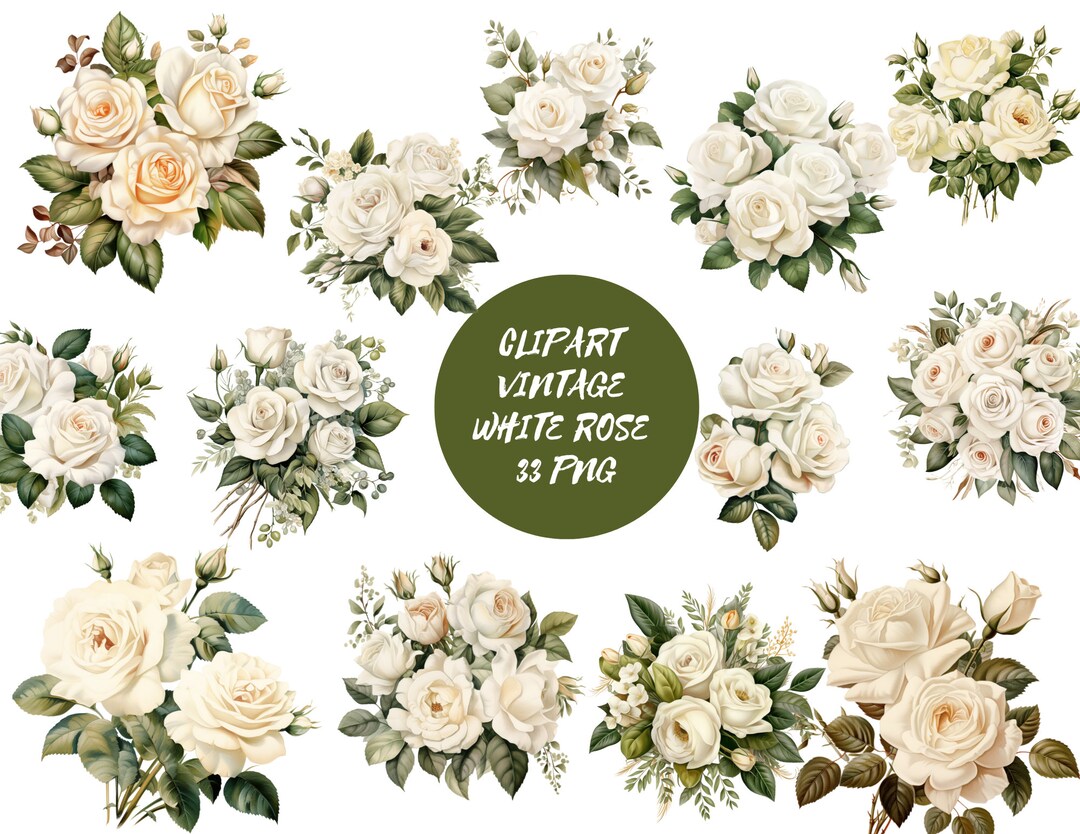Vintage White Rose in PNG for Commercial Use Instant Download High ...