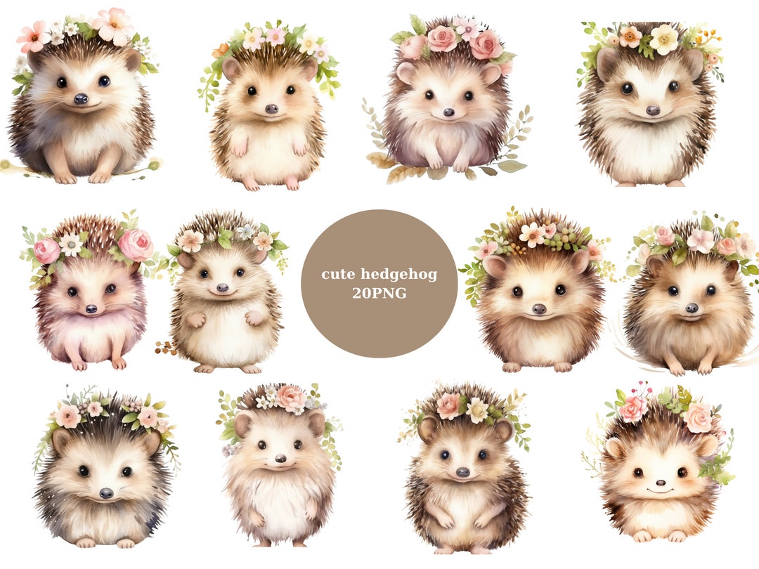 20 Cute Hedgehogs Watercolor Clipart, Woodland Clipart, Cute Animals ...