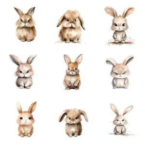 22 Grumpy Bunnies Watercolor Clipart, Bunny Clipart, PNG Individual ...