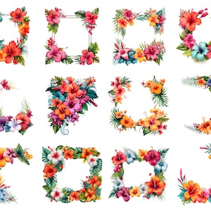 Watercolor Border Tropical Flowers Clipart, PNG Individual Images on ...