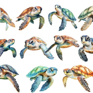 Watercolor Sea Turtle Clipart, Nautical Ocean Animals PNG Instant ...
