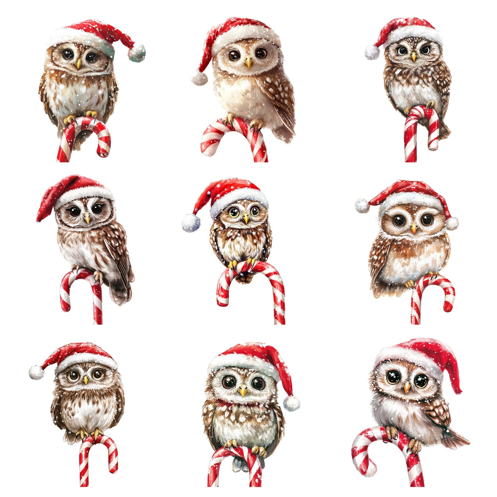 37 Santa Owls on Candy Cane Watercolor Clipart, Christmas Clipart, PNG ...