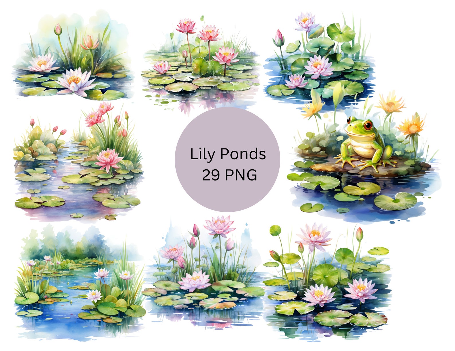 Watercolor Lily Ponds Clipart, PNG Digital Files on a Transparent ...