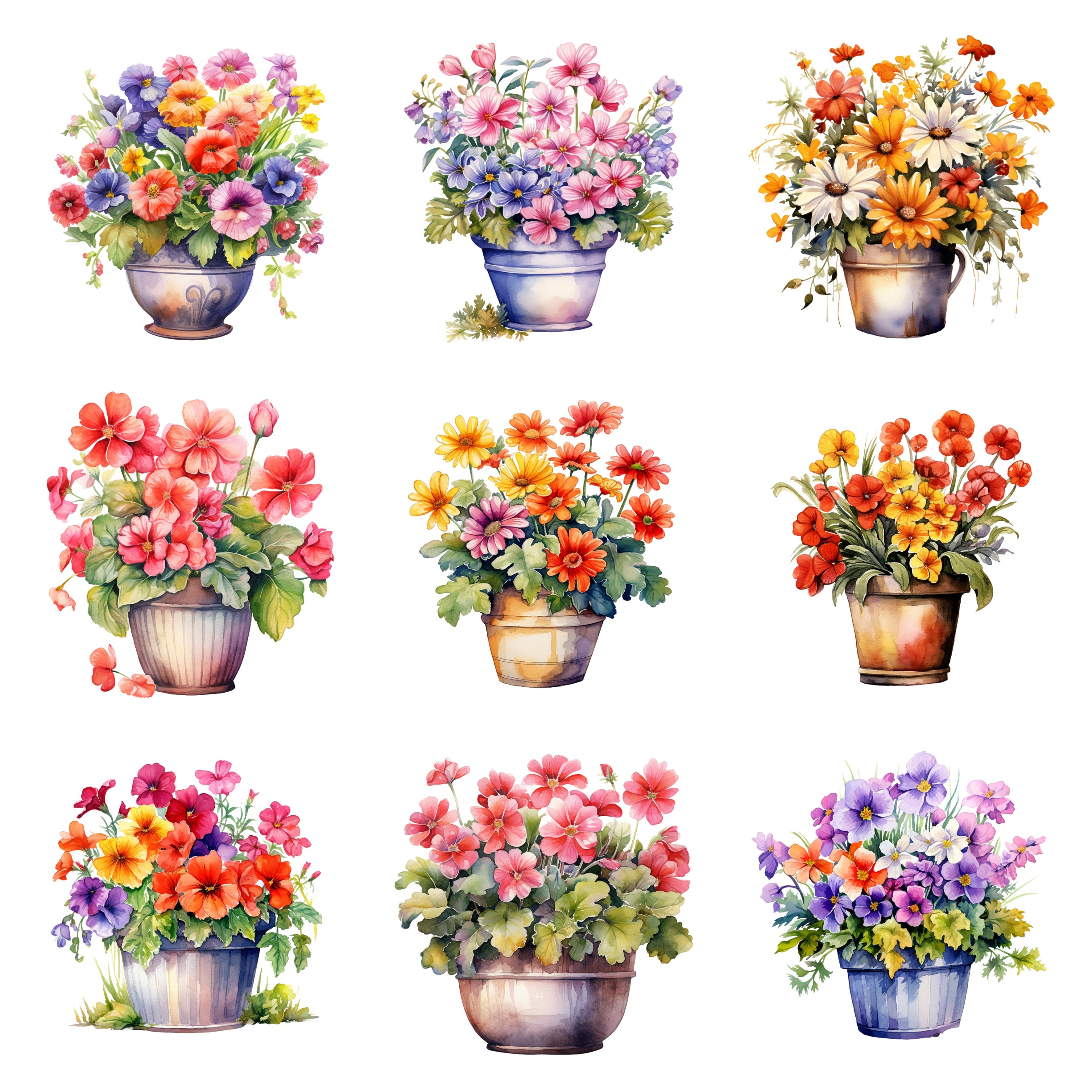 Watercolor Flowers in Pots Clipart PNG Digital Files on - Etsy
