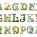 Crocodile Alphabet, Letters Png, Alphabet Png, Instant Download for ...