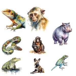 Watercolor Safari Animals Clipart, PNG Digital Images, Transparent ...