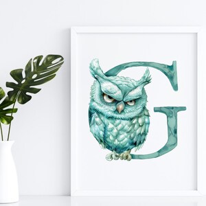Watercolor Angry Owl Alphabet, Owl Letter Instant Download for ...