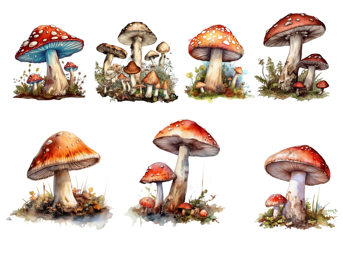 Watercolor Mushrooms Clipart, PNG Digital Files on Transparent ...