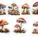 Watercolor Mushrooms Clipart, PNG Digital Files on Transparent ...