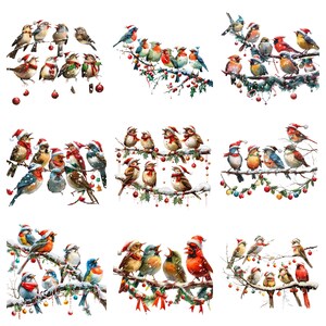 18 Christmas Birds Clipart, Christmas Clipart, PNG Individual Images on ...