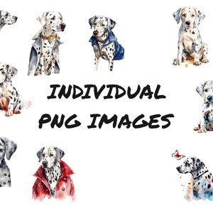 Watercolor Dalmatians Clipart, PNG Digital Files on Transparent ...