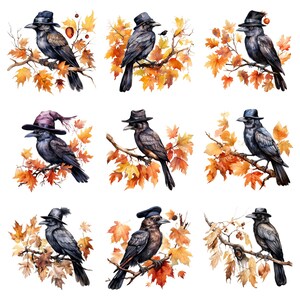 33 Crow With Hats Watercolor Clipart, Fall Clipart, PNG Digital Files ...
