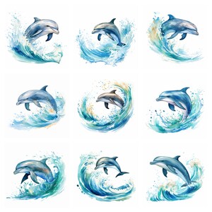 21 Playful Dolphins Watercolor Clipart, Ocean Clipart, PNG Individual ...