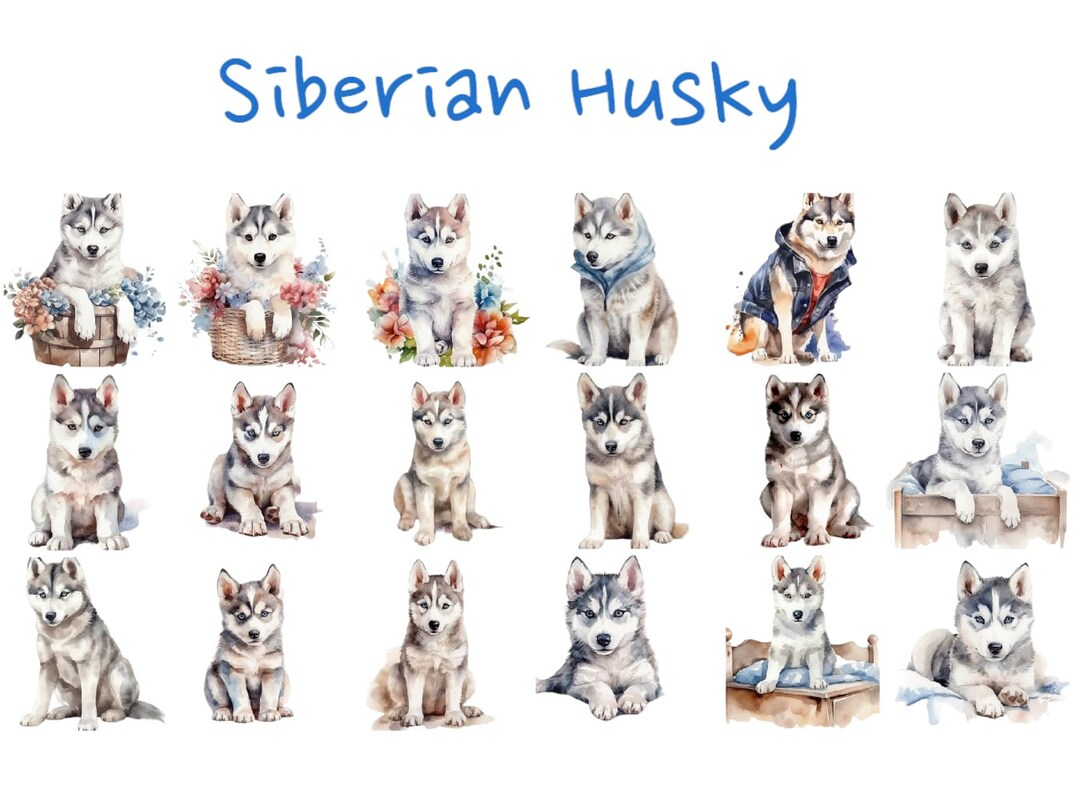 Watercolor Siberian Huskies Clipart, PNG Images, Instant Download ...