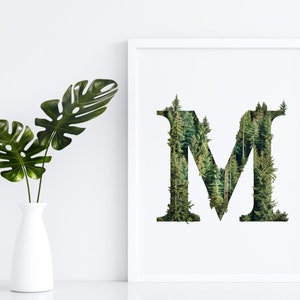 Watercolor Forest Alphabet Clipart, PNG Individual Images on ...