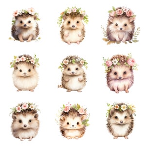 20 Cute Hedgehogs Watercolor Clipart, Woodland Clipart, Cute Animals ...