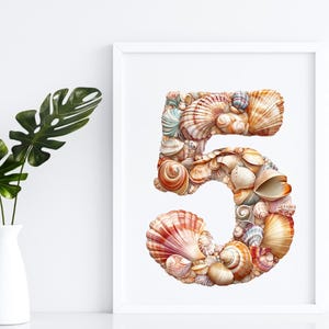 Seashell Numbers Watercolor Clipart, Beach Clipart, PNG Individual ...