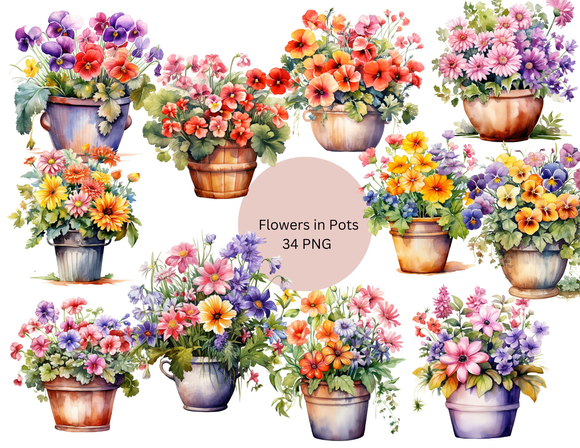 Watercolor Flowers in Pots Clipart PNG Digital Files on - Etsy