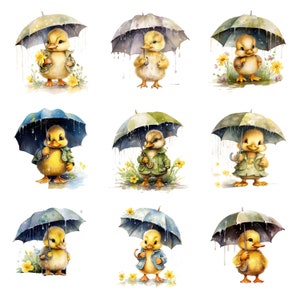 17 Baby Ducks in Rain Watercolor Clipart, Cute Ducklings, PNG Digital ...