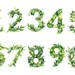 Leafy Numbers Clipart - Green Nature-inspired Numerals PNG Individual ...