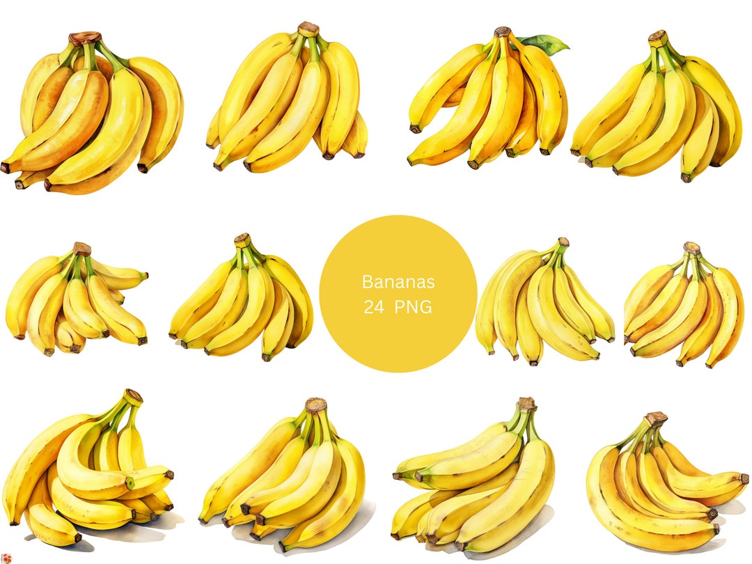 24 Bananas Watercolor Clipart, Fruit Clipart, PNG Individual Images on ...