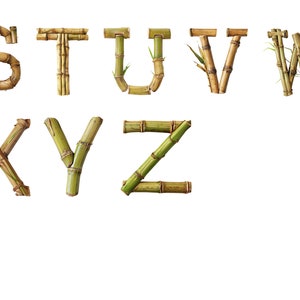 Clipart Bamboo Alphabet, PNG Digital Files on Transparent Background ...