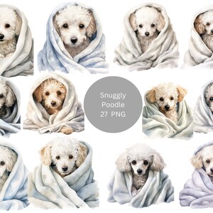 27 Snuggly Poodles Watercolor Clipart, Pets Clipart, PNG Individual ...