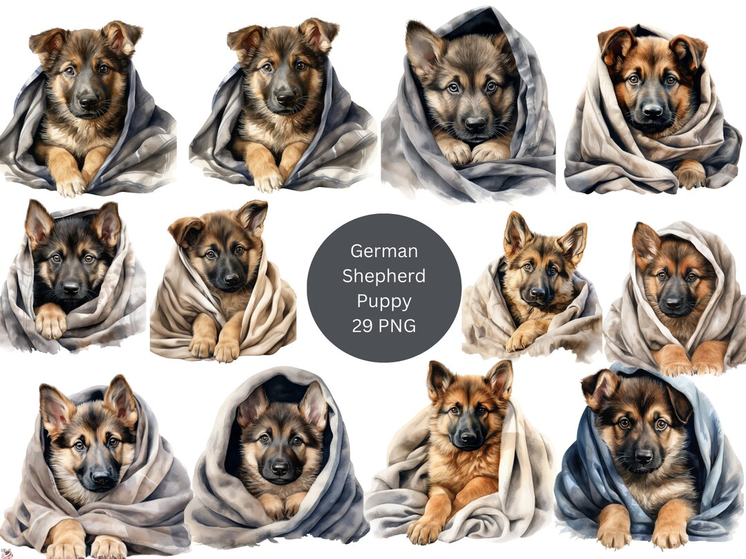 29 Snuggly German Shepherds Watercolor Clipart, Pets Clipart, PNG ...