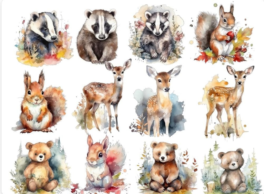 Watercolor Cute Forest Animals Clipart, PNG Images, Instant Download ...