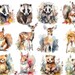 Watercolor Cute Forest Animals Clipart, PNG Images, Instant Download ...