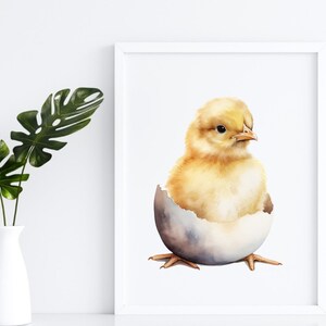 20 Baby Chick Hatching Watercolor Clipart, Bird Clipart, PNG Digital ...