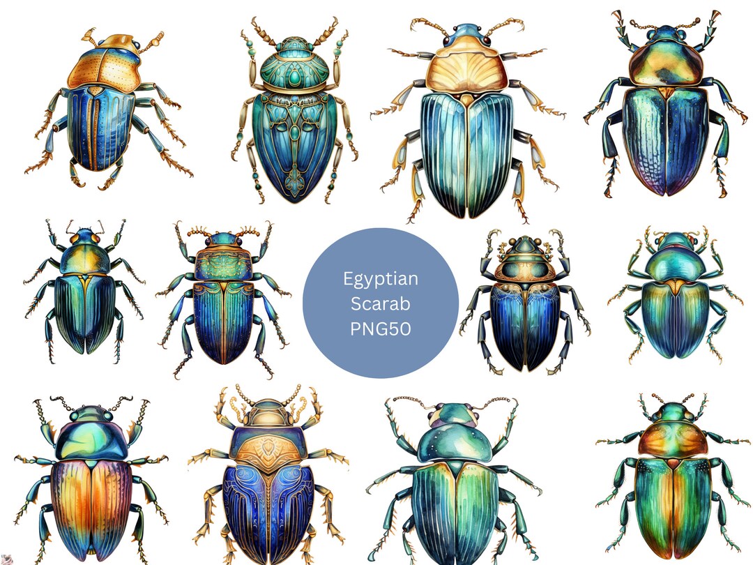 50 Egyptian Scarabs Watercolor Clipart, Egypt Clipart, PNG Individual ...