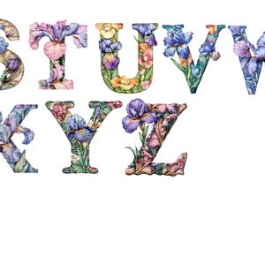 Iris Alphabet Clipart, Floral Clipart, PNG Individual Images on ...