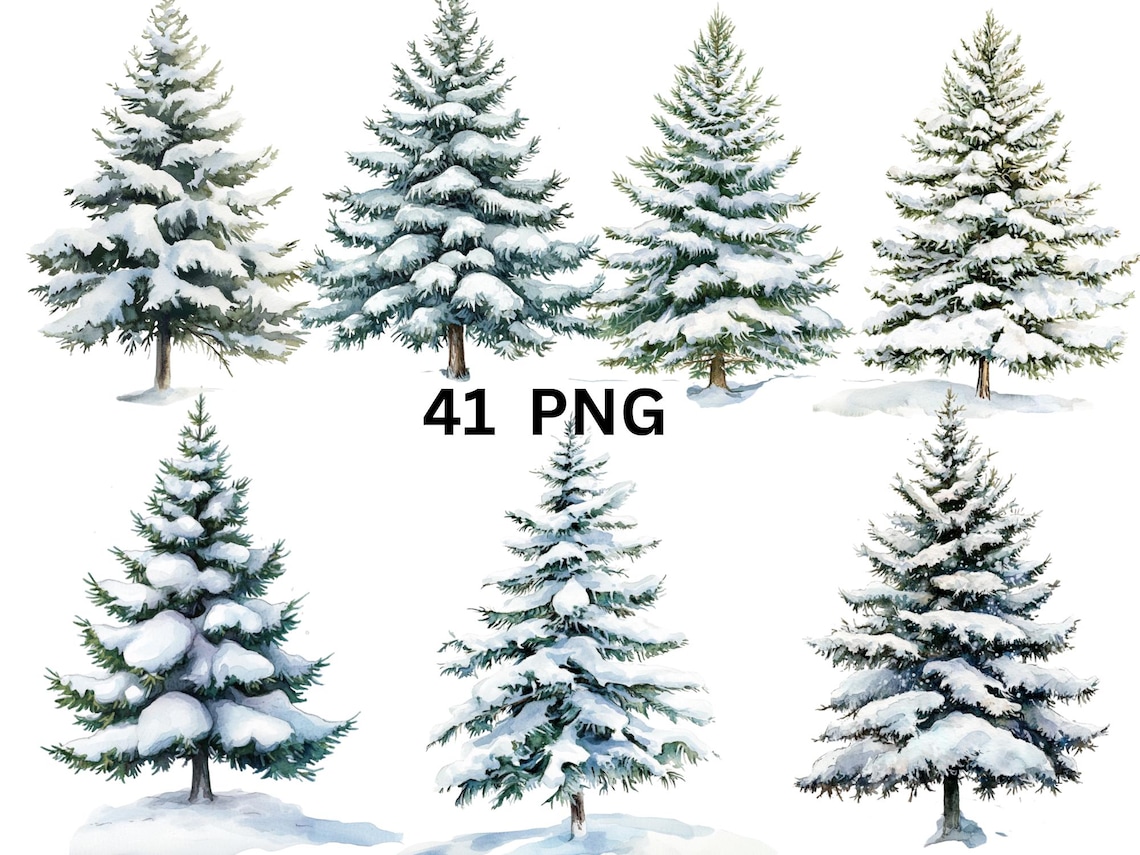 41 Pine Snow Trees Watercolor Clipart, PNG Digital Files on Transparent ...
