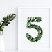 Eucalyptus Leaf Numbers Clipart Set - Botanical Numbers 0-9 - Greenery ...