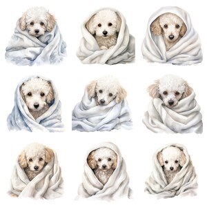 27 Snuggly Poodles Watercolor Clipart, Pets Clipart, PNG Individual ...