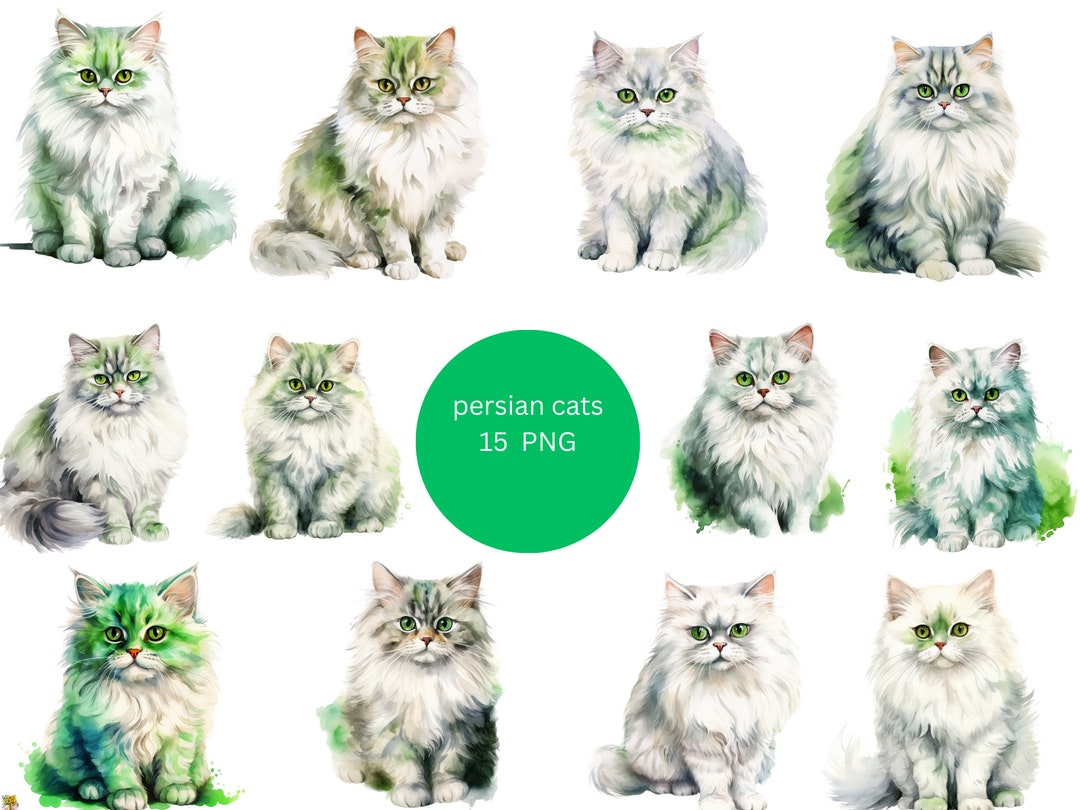 15 Persian Cats Watercolor Clipart, Pets Clipart, PNG Individual Images ...