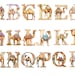 Watercolor Camel Alphabet Clipart, PNG Individual Images on Transparent ...